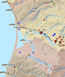SteelheadRecovery.org